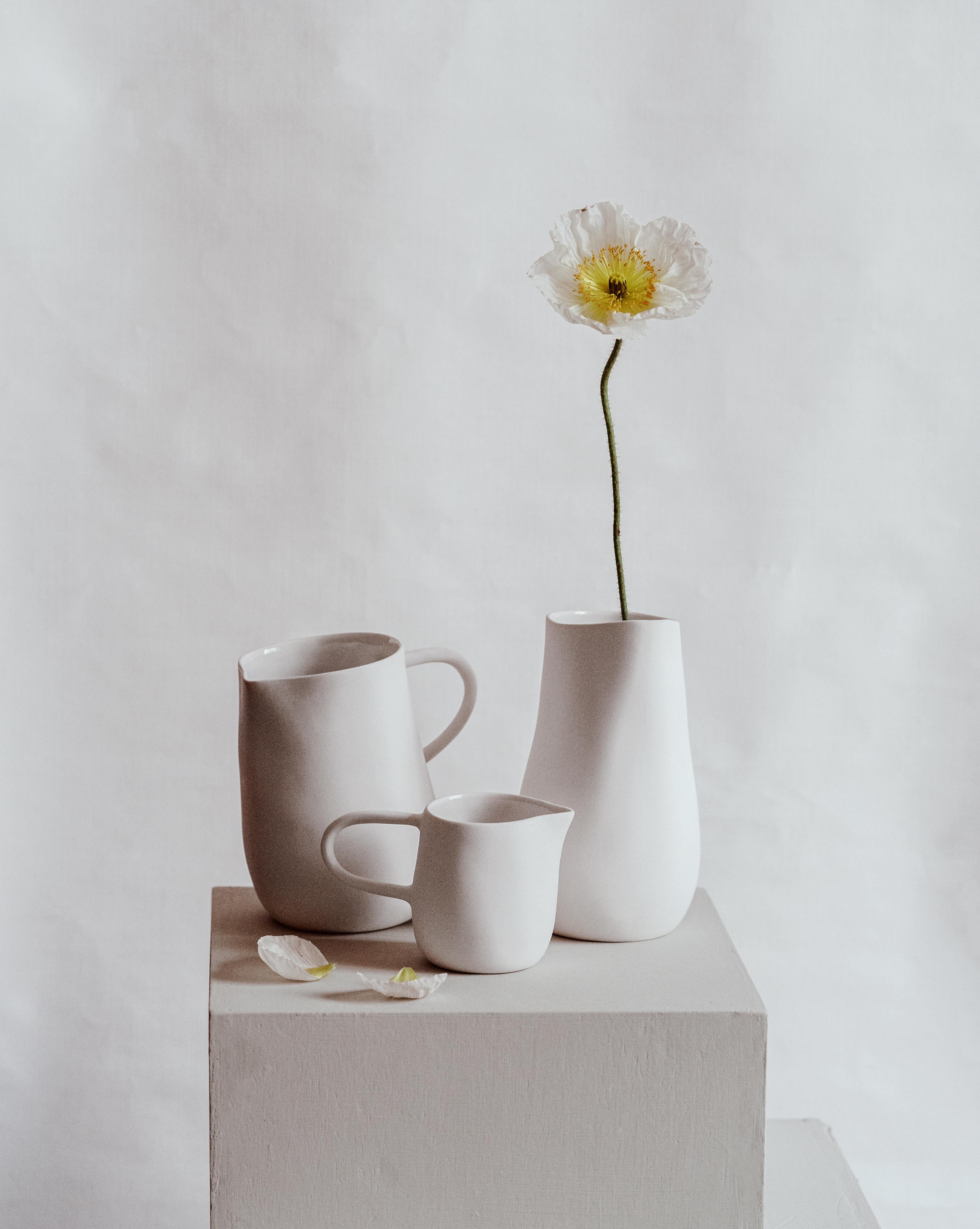 "Family" Jugs Medium, Brushed Porcelain and Glazed Interior For Sale at ...