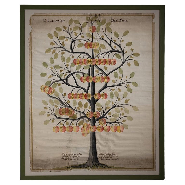 Family Tree of Peter and Anne von Carnap, Germany circa 1850 For Sale ...