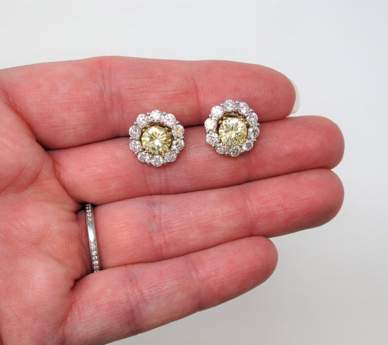 Fancy Light Yellow Round Diamond Stud Earrings with White Diamond Halo ...