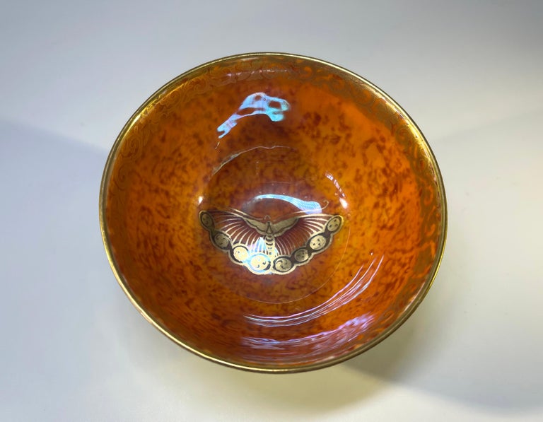 Fantasy Moth, Wedgwood Ordinary Lustre Butterfly York Cup By Daisy ...