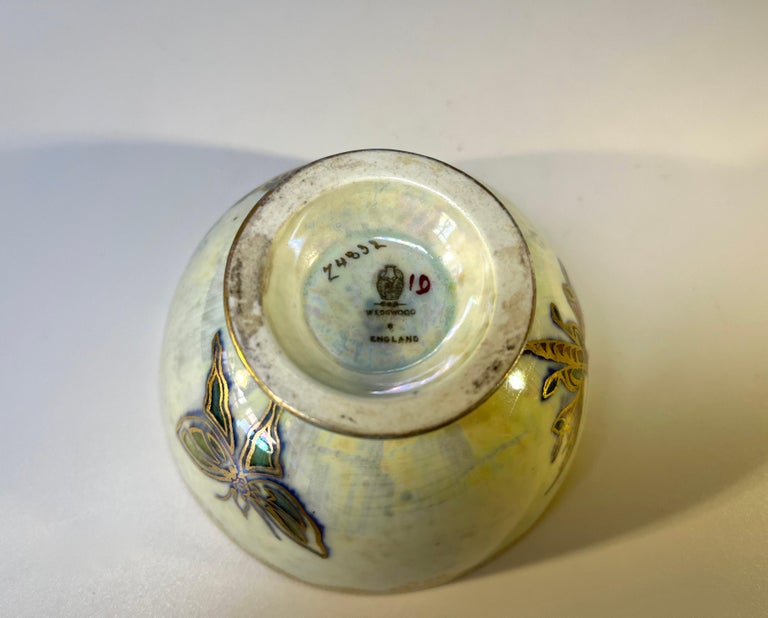 Fantasy Moth, Wedgwood Ordinary Lustre Butterfly York Cup By Daisy ...