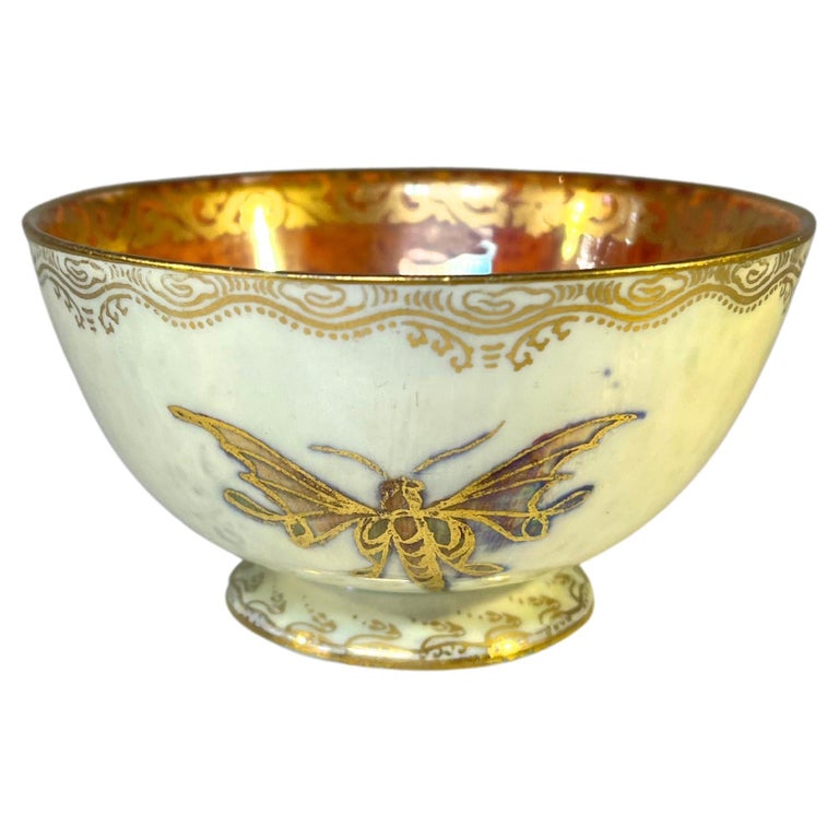 Fantasy Moth, Wedgwood Ordinary Lustre Butterfly York Cup By Daisy ...