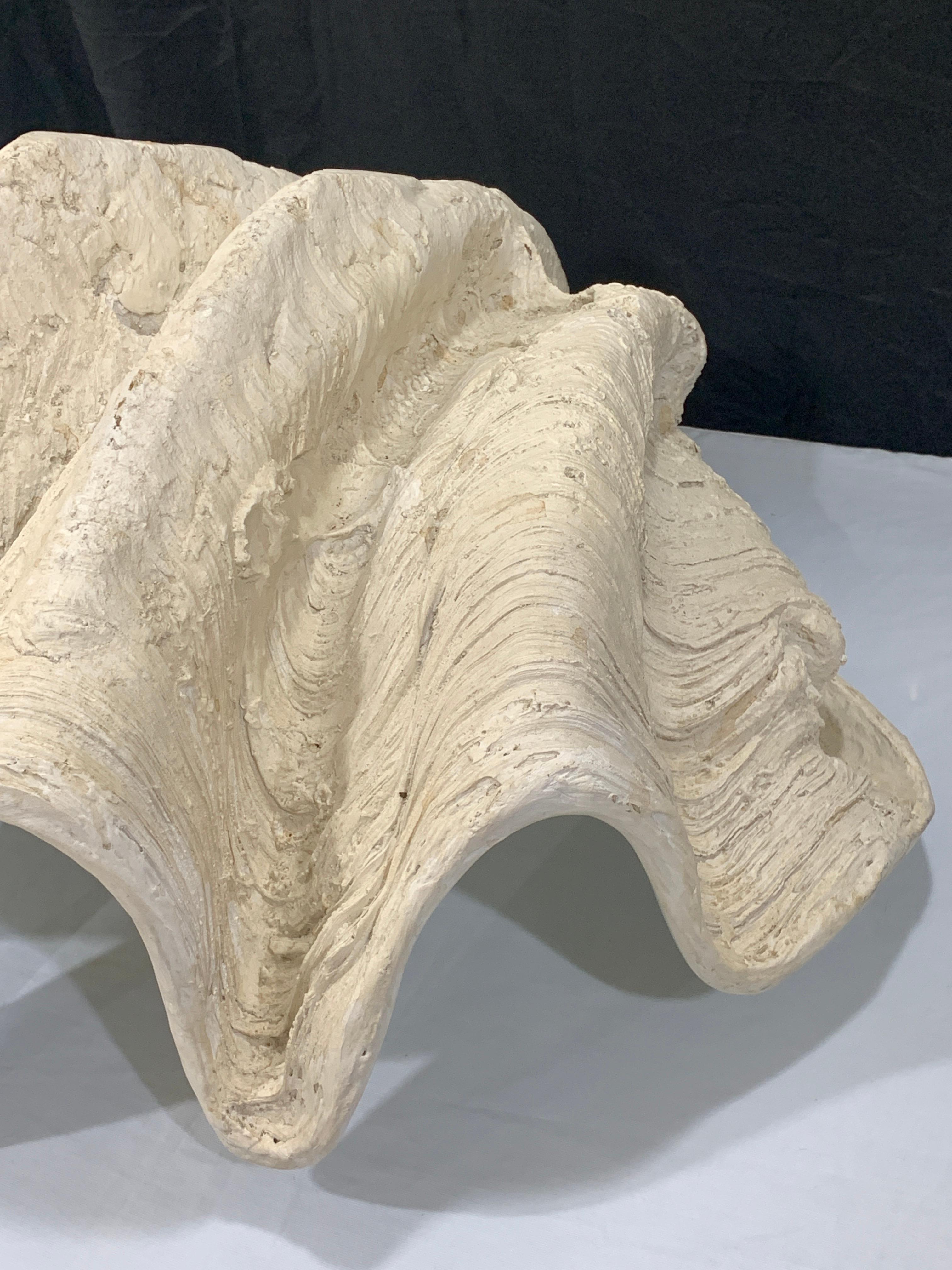 Faux Giant Tridacna Clam Shell at 1stDibs | faux giant clam shell