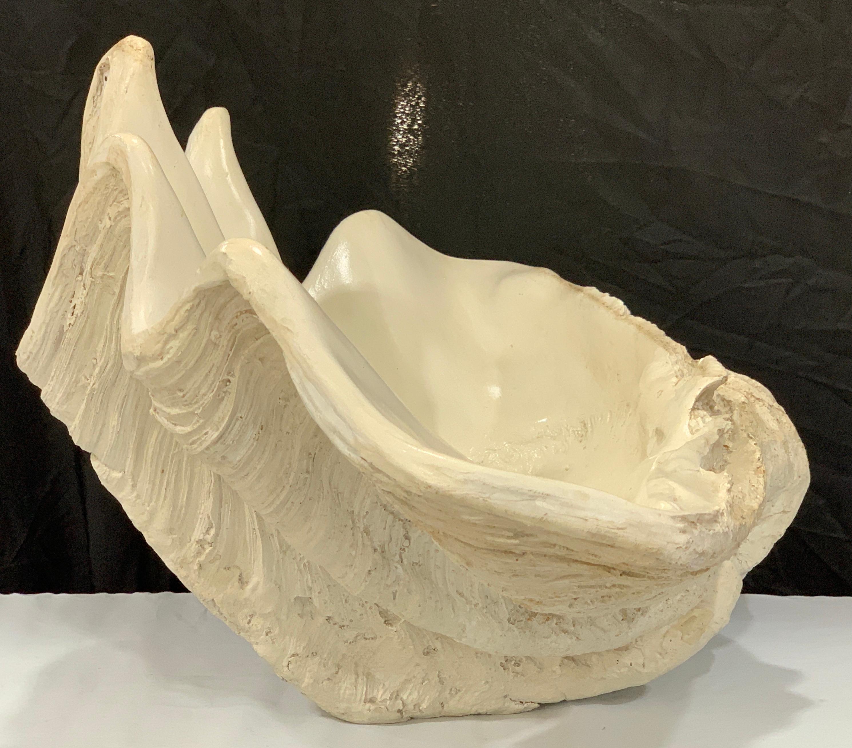 Faux Giant Tridacna Clam Shell at 1stDibs | faux giant clam shell