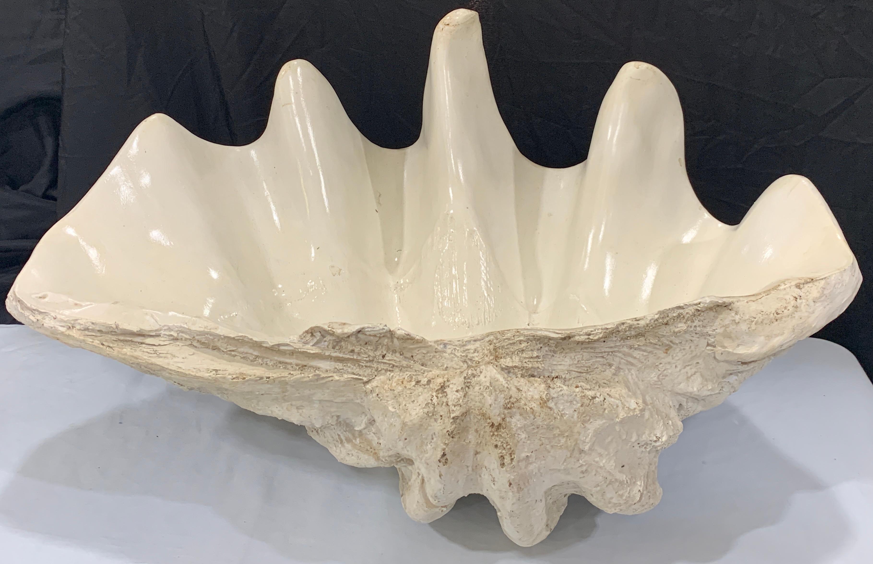 Faux Giant Tridacna Clam Shell at 1stDibs | faux giant clam shell