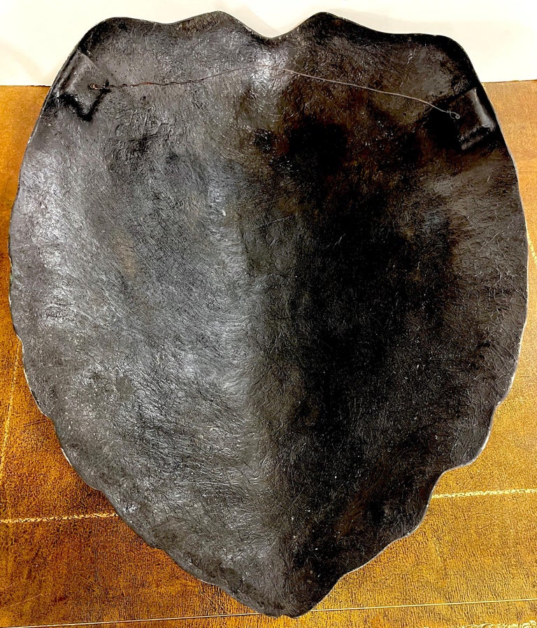Faux Lacquered Wall Mount Sea Turtle Shell, Life Size For Sale at 1stDibs
