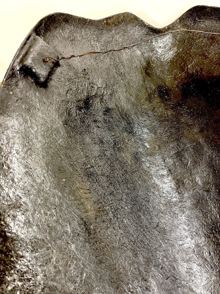 Faux Lacquered Wall Mount Sea Turtle Shell, Life Size For Sale at 1stDibs