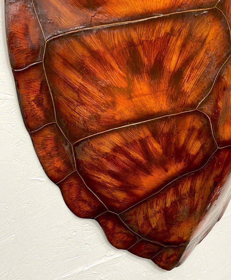 Faux Lacquered Wall Mount Sea Turtle Shell, Life Size For Sale at 1stDibs