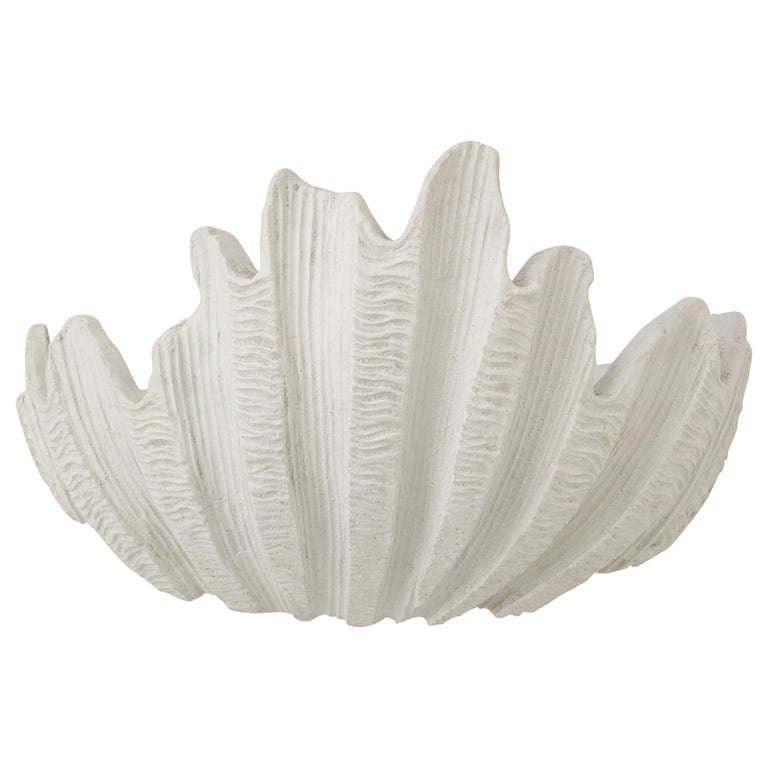 Faux Plaster Sea Shell Wall Sconce at 1stDibs