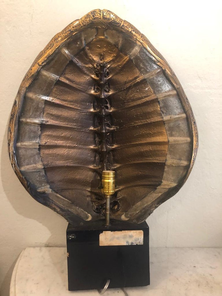 Faux Tortoise Lamps For Sale at 1stDibs