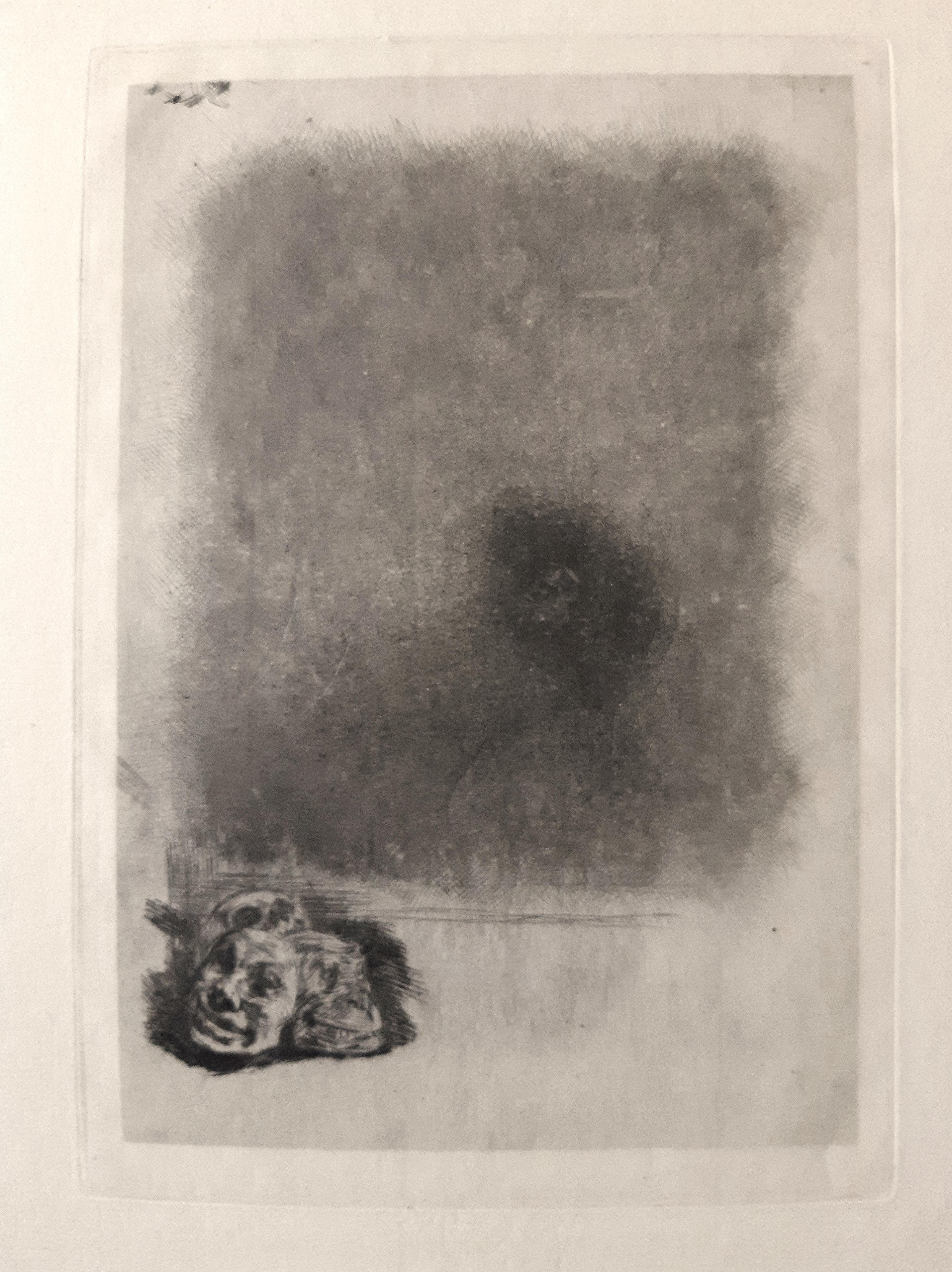 Félicien Rops - Humanité - Original Etching by Félicien Rops - 1880s ...