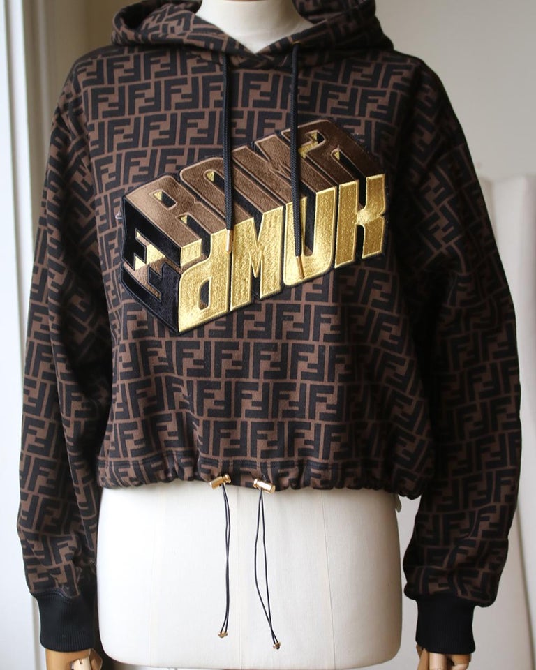 Fendi Roma Amor Embroidered Jacquard Cropped Hoodie at 1stDibs | fendi ...