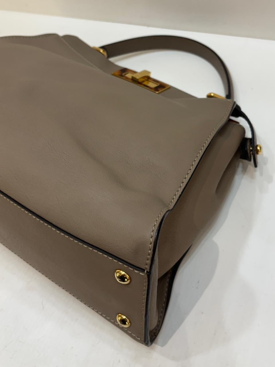 Fendi Taupe Regular Peekaboo Tortoiseshell Plexi Bag For Sale at 1stDibs