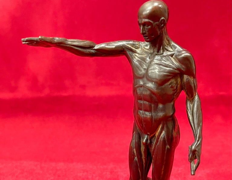 Ferdinand BARBEDIENNE - Bronze, The Flayed For Sale at 1stDibs