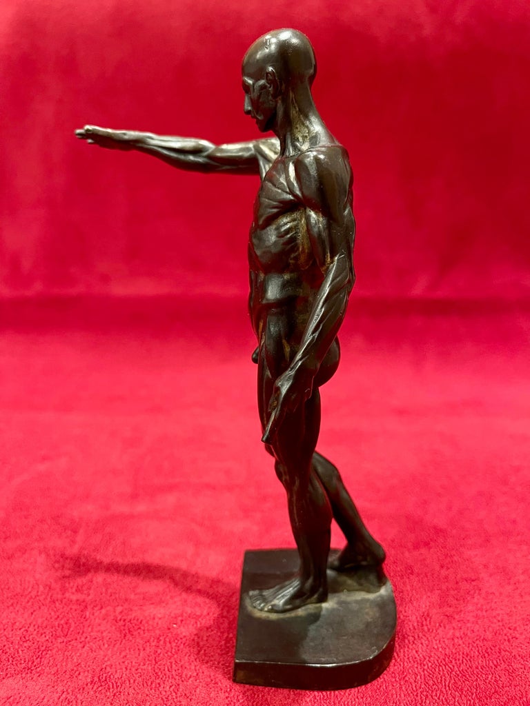 Ferdinand BARBEDIENNE - Bronze, The Flayed For Sale at 1stDibs