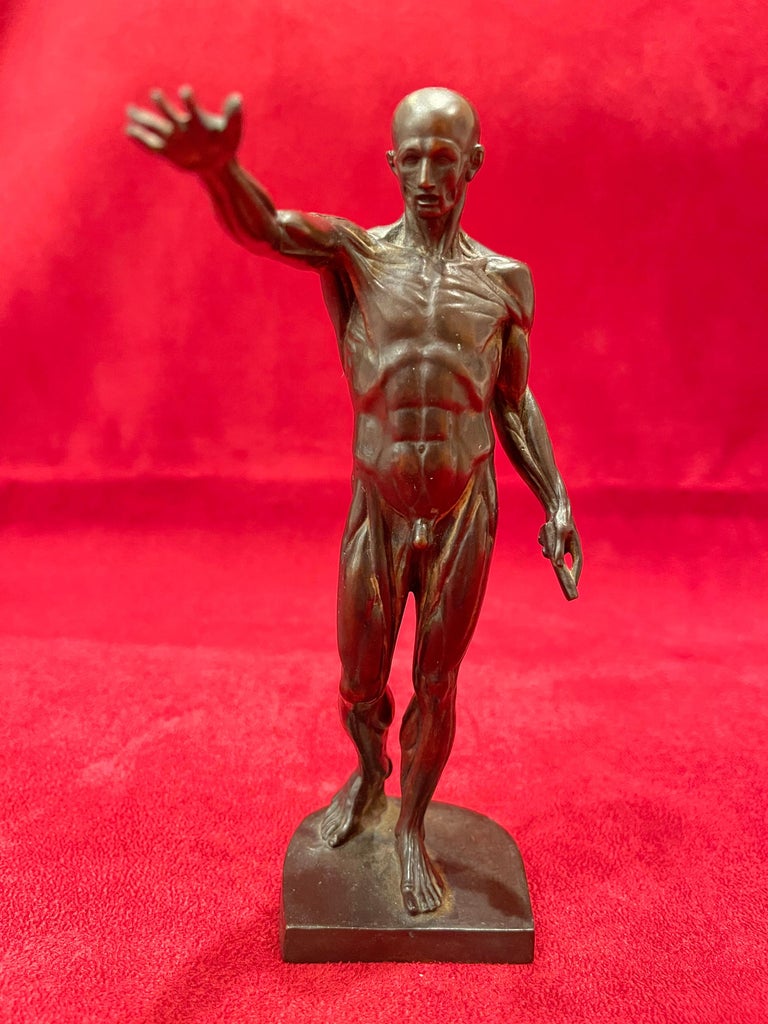 Ferdinand BARBEDIENNE - Bronze, The Flayed For Sale at 1stDibs