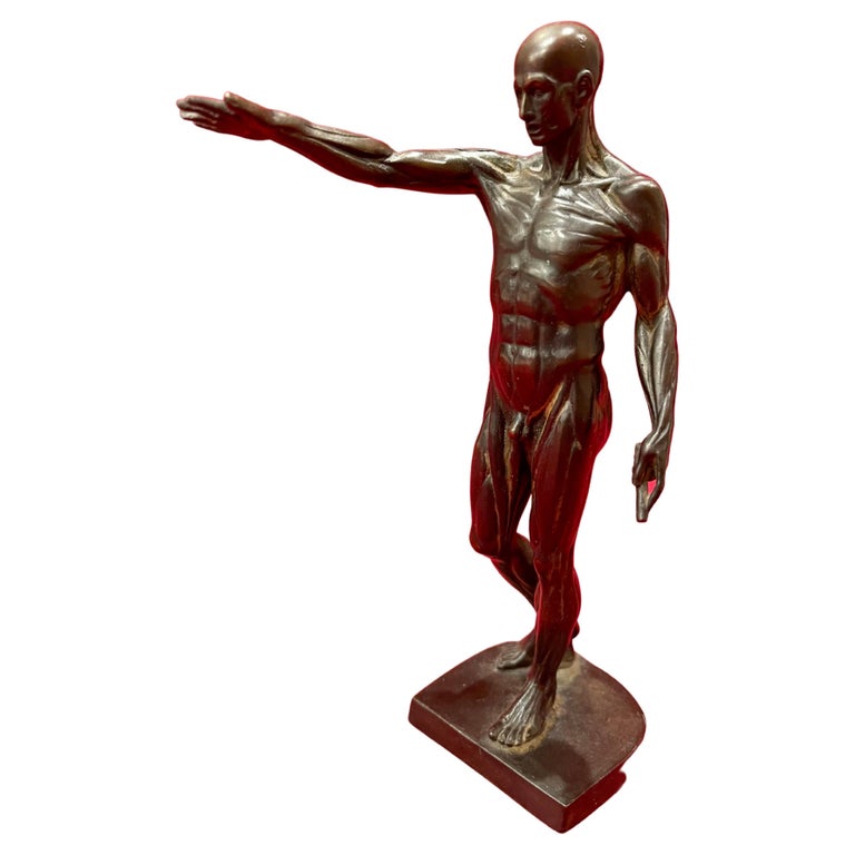 Ferdinand BARBEDIENNE - Bronze, The Flayed For Sale at 1stDibs