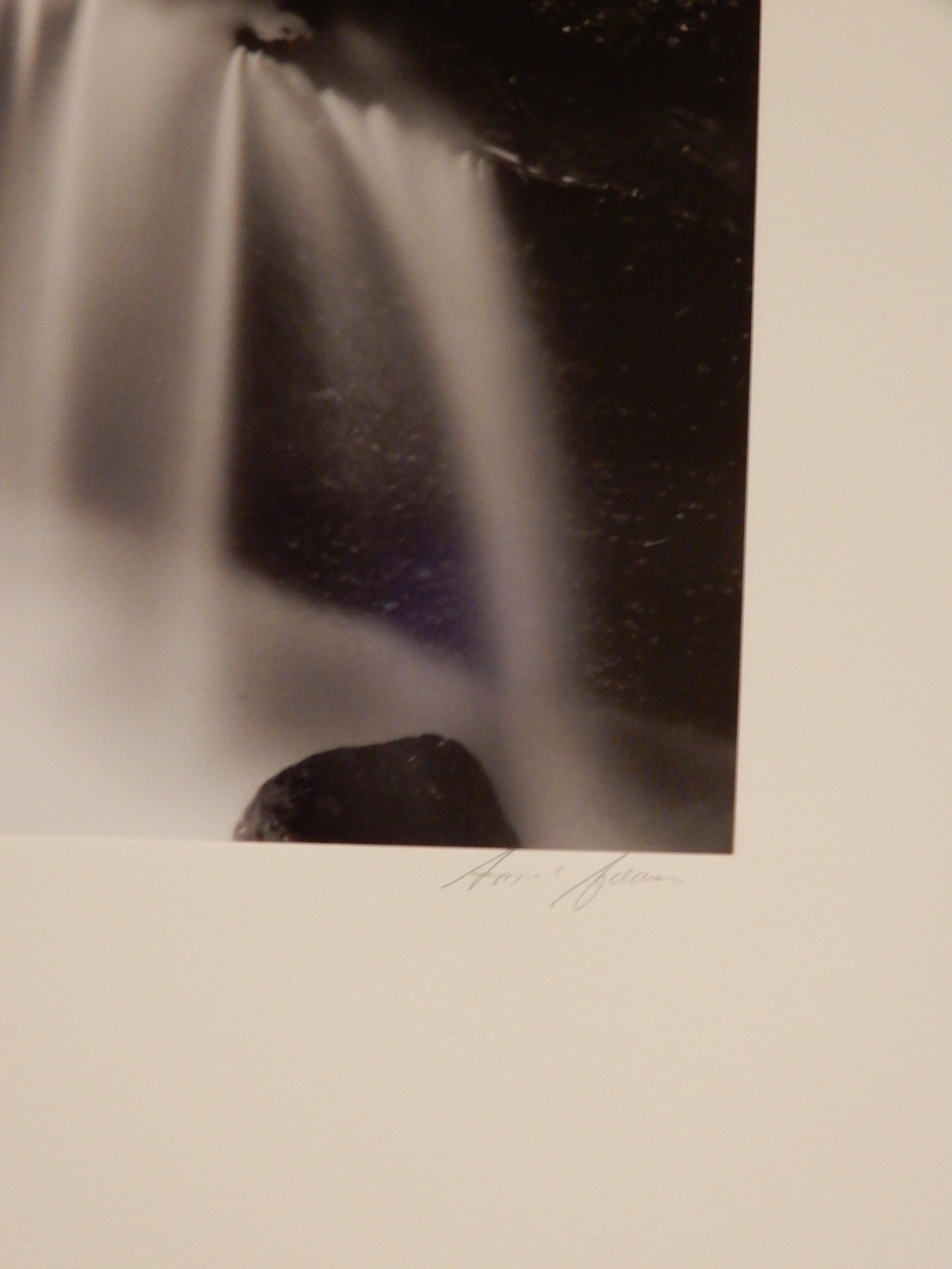 Fern Spring, Dusk, Yosemite Valley, CA by Ansel Adams, 1961 For Sale at ...