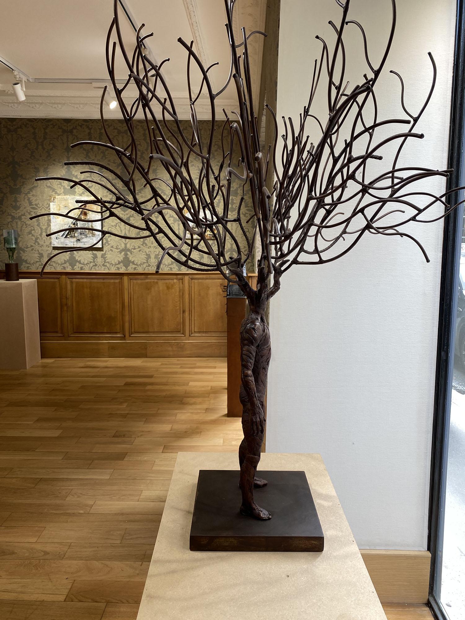 Fernando Suarez Reguera - Hombre Arbol, figurative sculpture, bronze ...