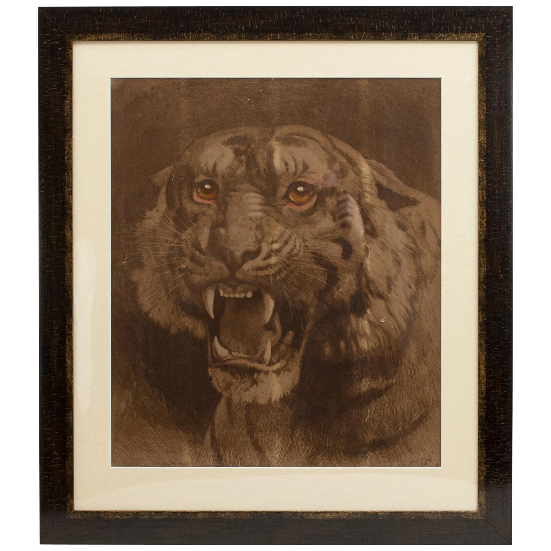 Large Herbert Dicksee Etching of Lion at 1stDibs | herbert dicksee ...