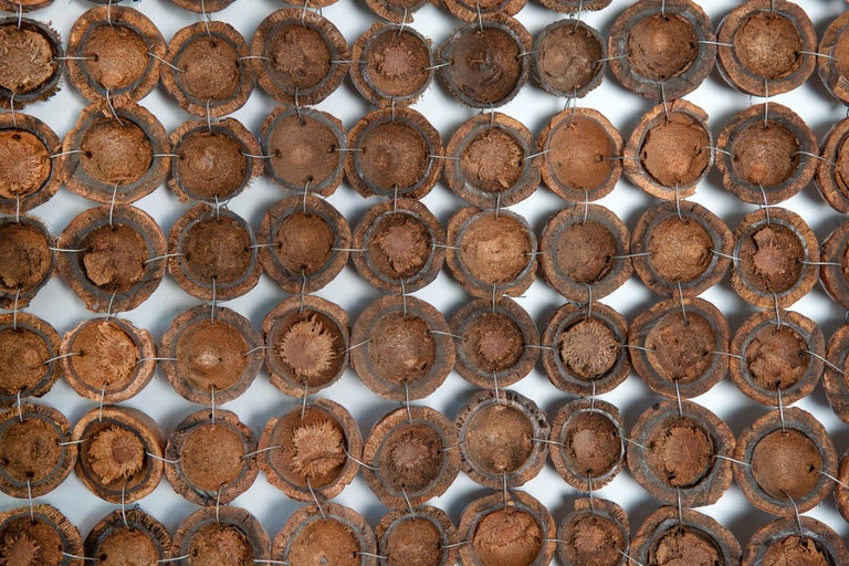 Fillipus Sheehama - Elephant in the Room, Fillipus Sheehama, Mixed ...