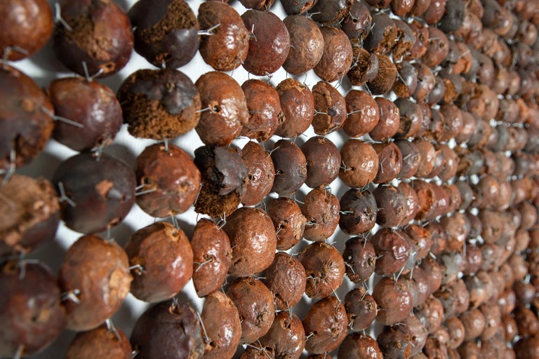 Fillipus Sheehama - Elephant in the Room, Fillipus Sheehama, Mixed ...