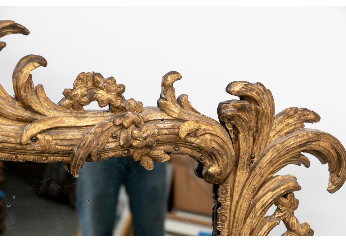 Fine Antique Gilt Rococo Style Mirror For Sale at 1stDibs