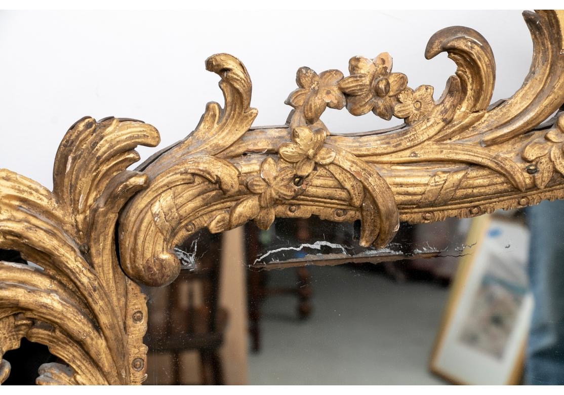 Fine Antique Gilt Rococo Style Mirror For Sale at 1stDibs
