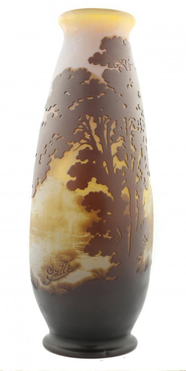 Fine Cameo Glass Vase by Emile Gallé, Signed For Sale at 1stDibs