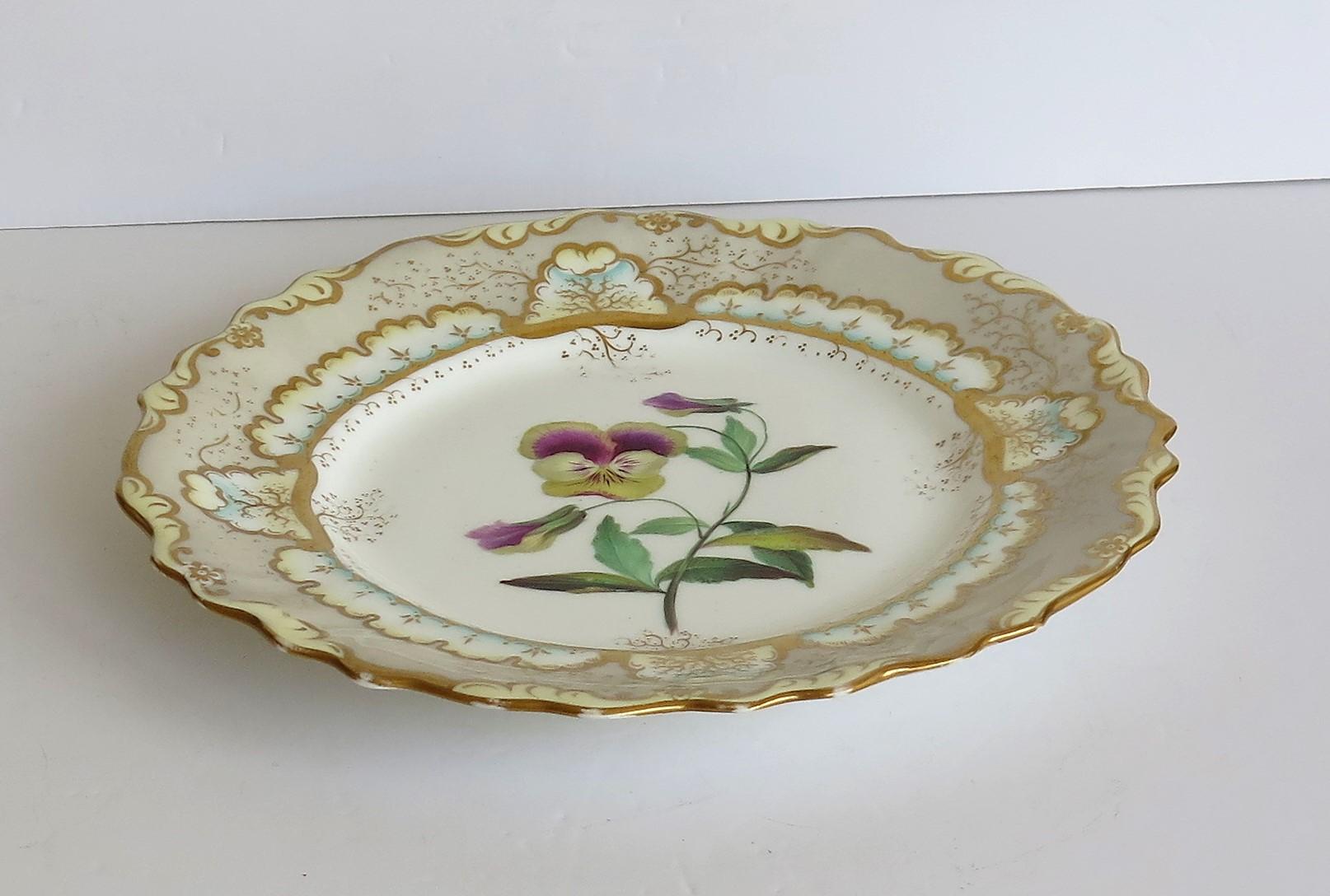 Fine Georgian porcelain plate possibly by H and R Daniel Hand Painted ...