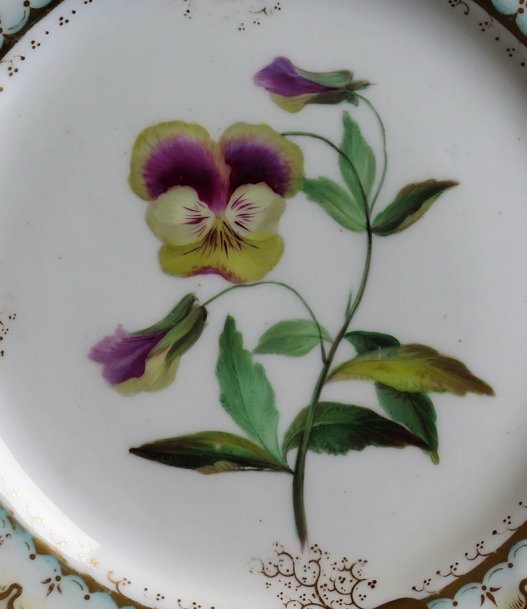 Fine Georgian porcelain plate possibly by H and R Daniel Hand Painted ...