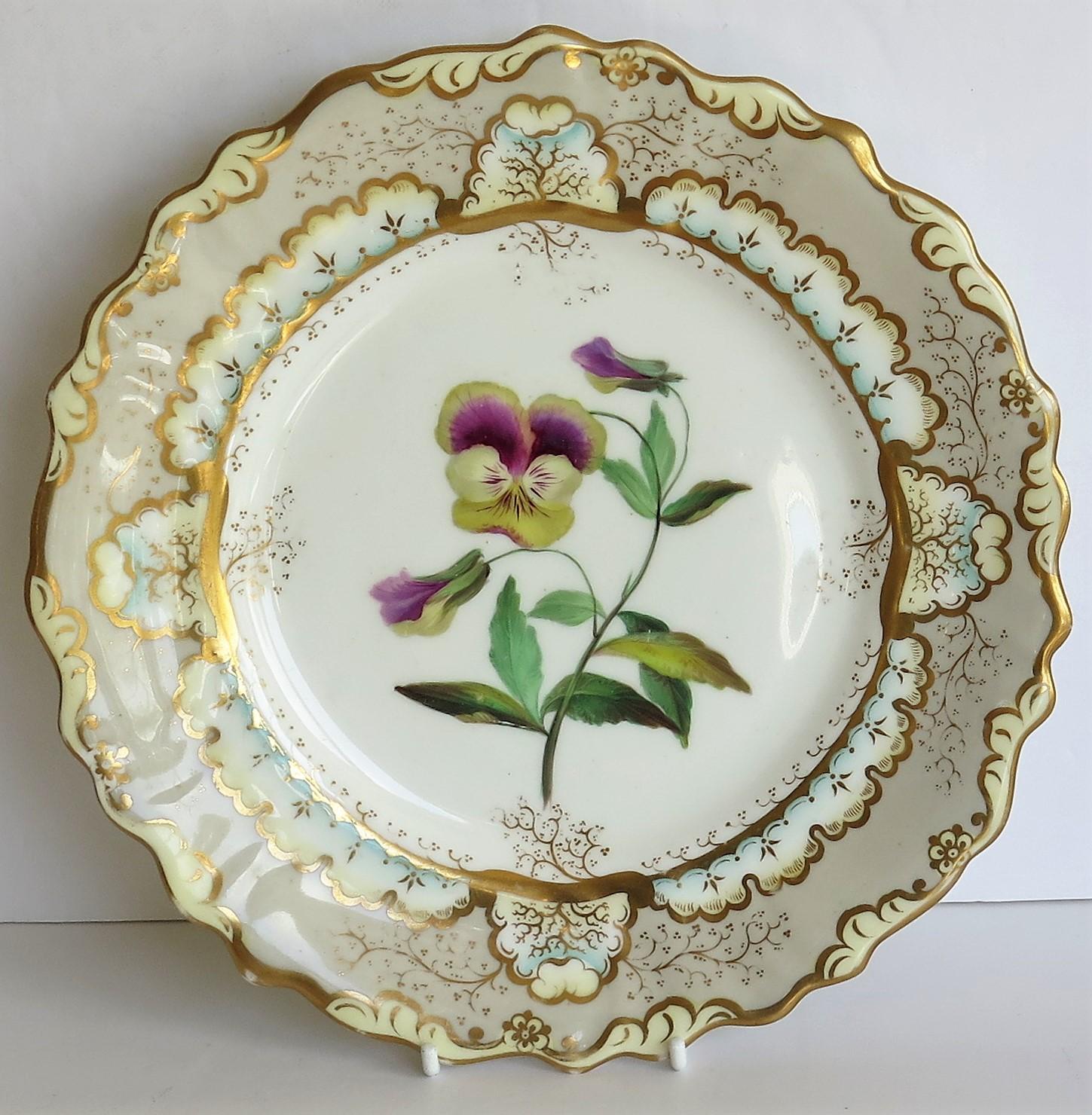 Fine Georgian porcelain plate possibly by H and R Daniel Hand Painted ...