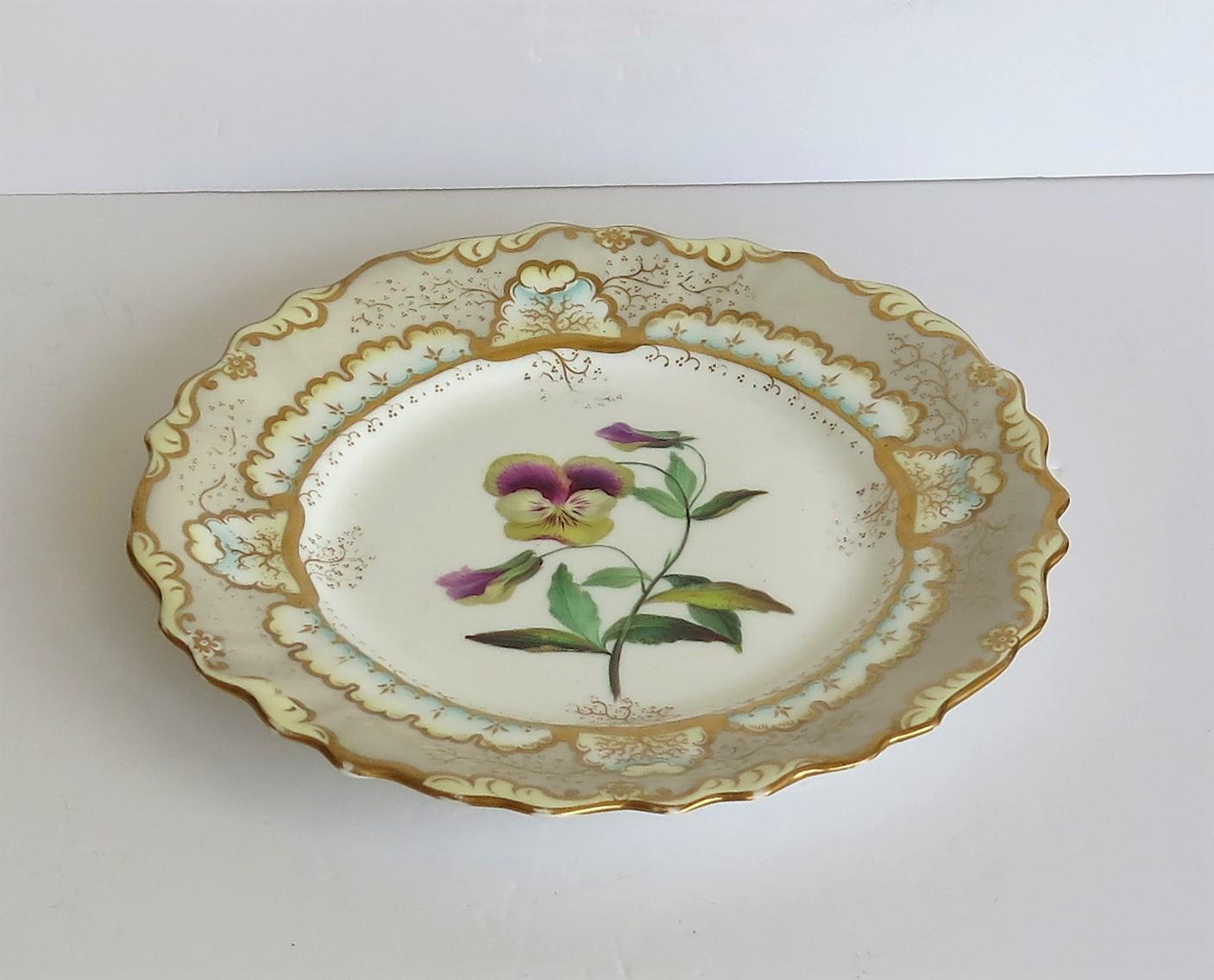 Fine Georgian porcelain plate possibly by H and R Daniel Hand Painted ...