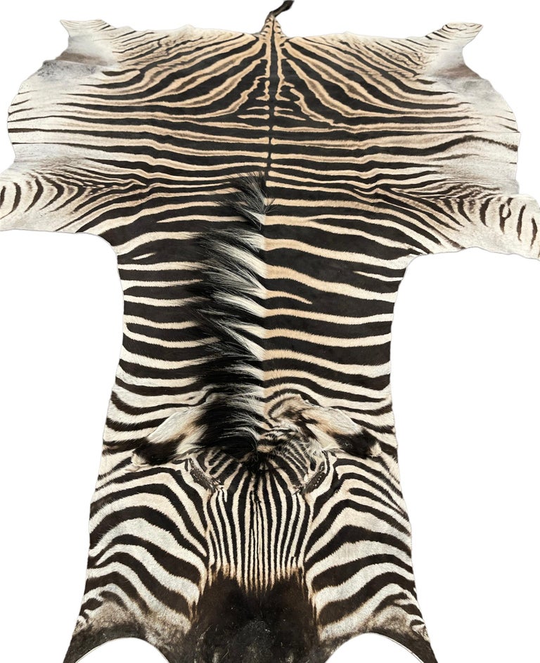 Fine Grade Burchell Zebra Hide For Sale at 1stDibs