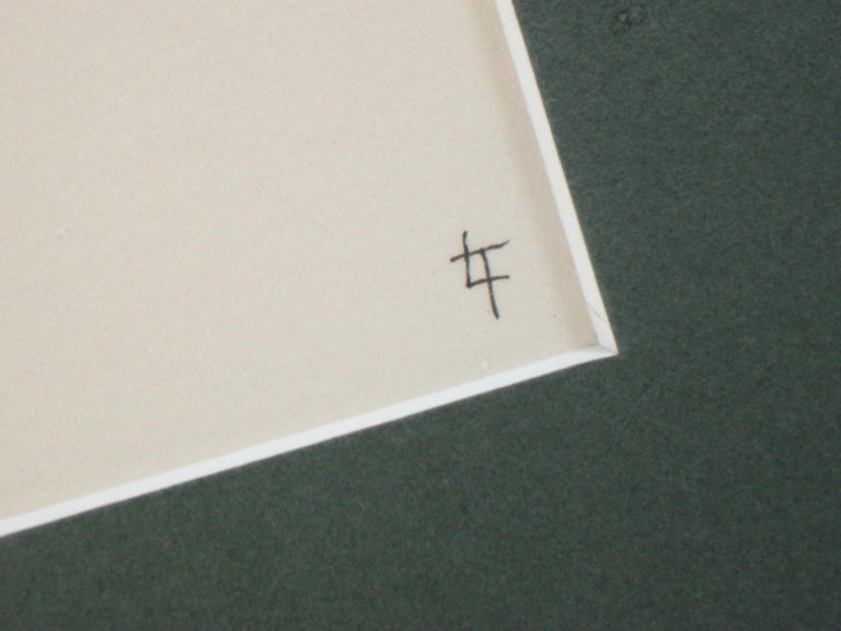 Fine Graphite Drawing of an Iris - Initialed L.T. - Canada - Late 20th ...