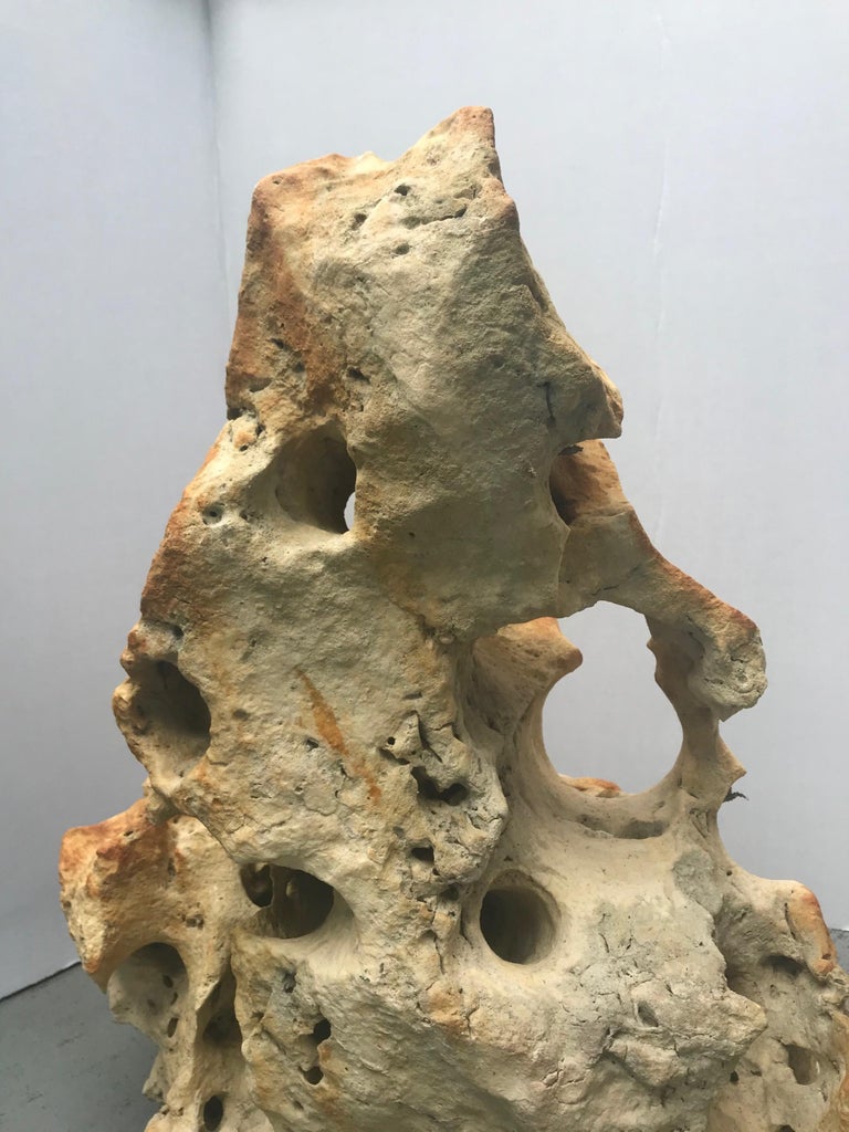 Fine Large Chinese Taihu Scholar Limestone Rock For Sale at 1stDibs