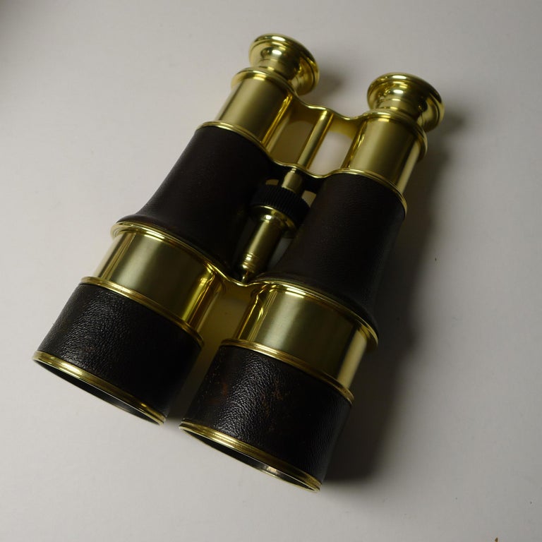 Fine Pair Cased Binoculars by W Gregory and Co. Ltd., N.R.A. For Sale ...