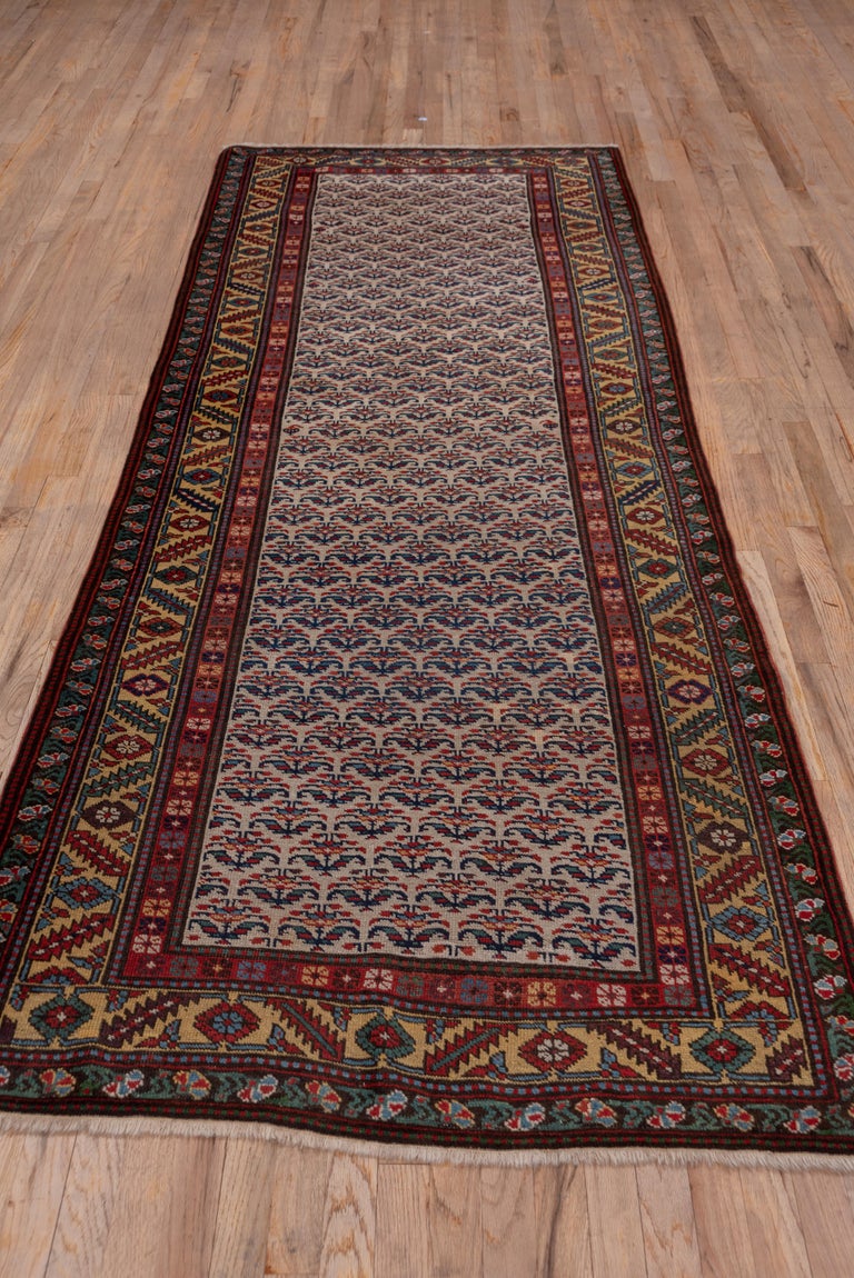 Finely Woven Antique Northwest Persian Runner, Ivory Field, Colorful ...