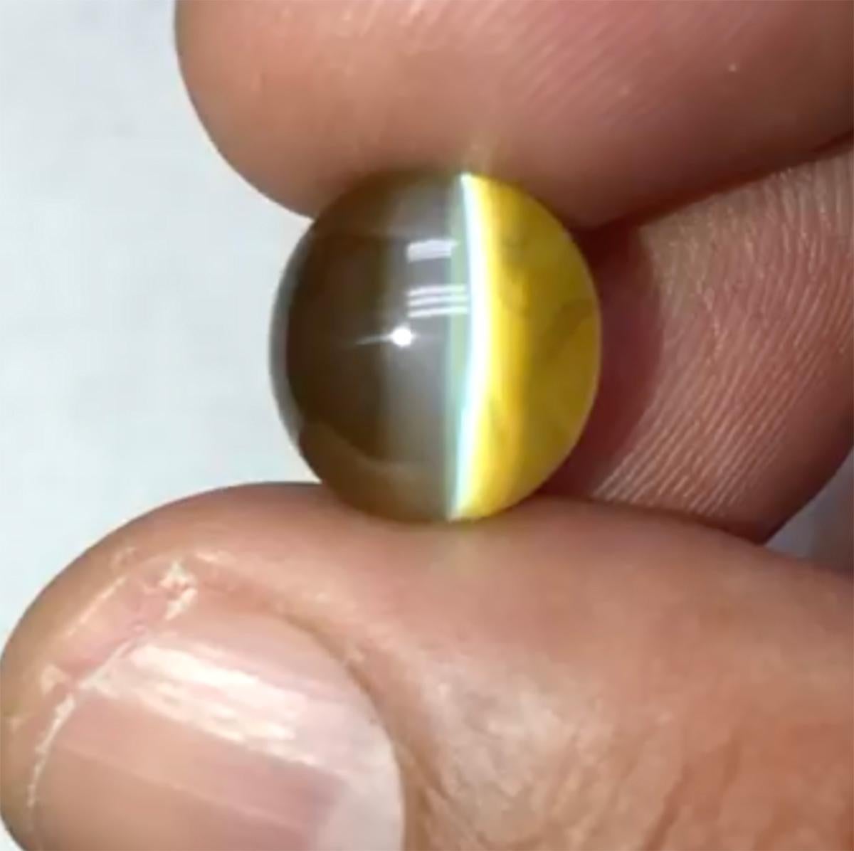 Finest Cats Eye Chrysoberyl in the World For Sale at 1stDibs | cat eye ...