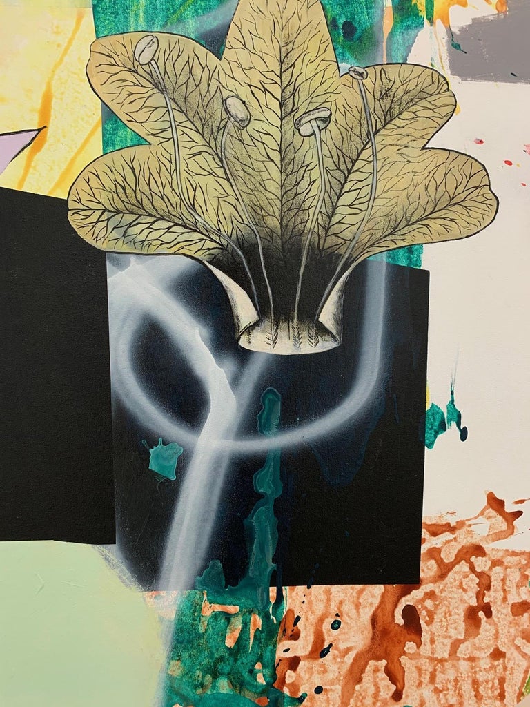 Fiona Ackerman - Aerial Botanical, Contemporary, Abstract, Floral ...