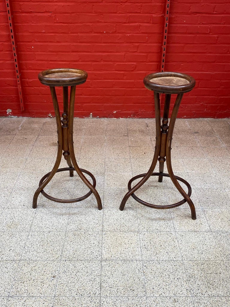 Fischel, 2 Art Nouveau Wood Pedestals, circa 1900 For Sale at 1stDibs