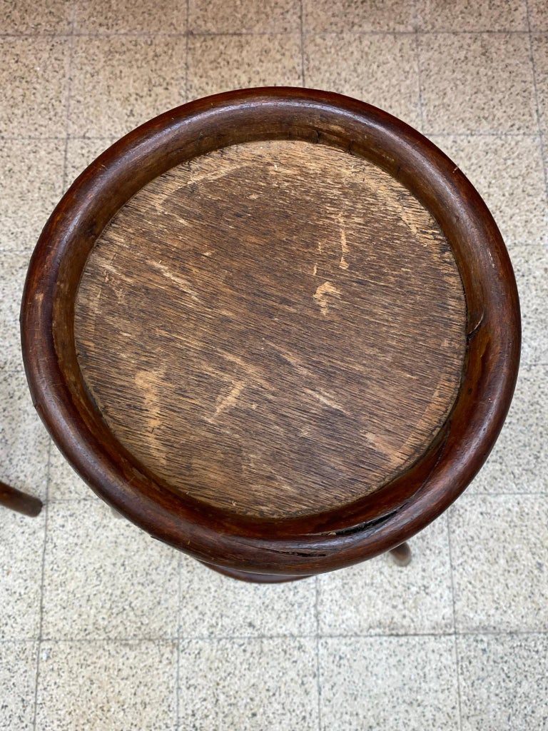 Fischel, 2 Art Nouveau Wood Pedestals, circa 1900 For Sale at 1stDibs