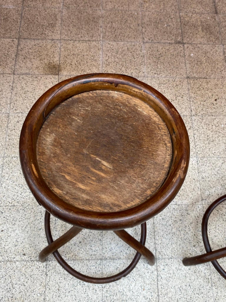 Fischel, 2 Art Nouveau Wood Pedestals, circa 1900 For Sale at 1stDibs