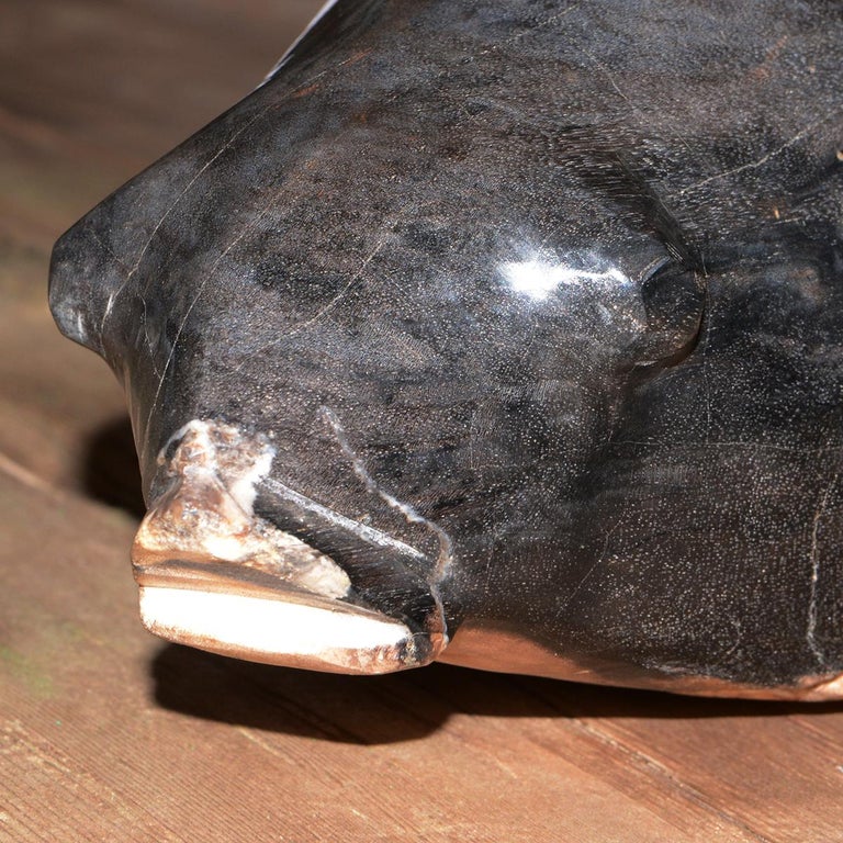 Fish Petrified n°A Sculpture For Sale at 1stDibs