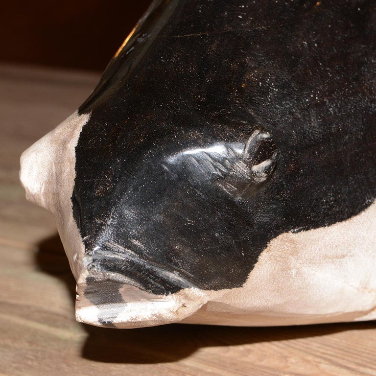Fish Petrified n°B Sculpture For Sale at 1stDibs