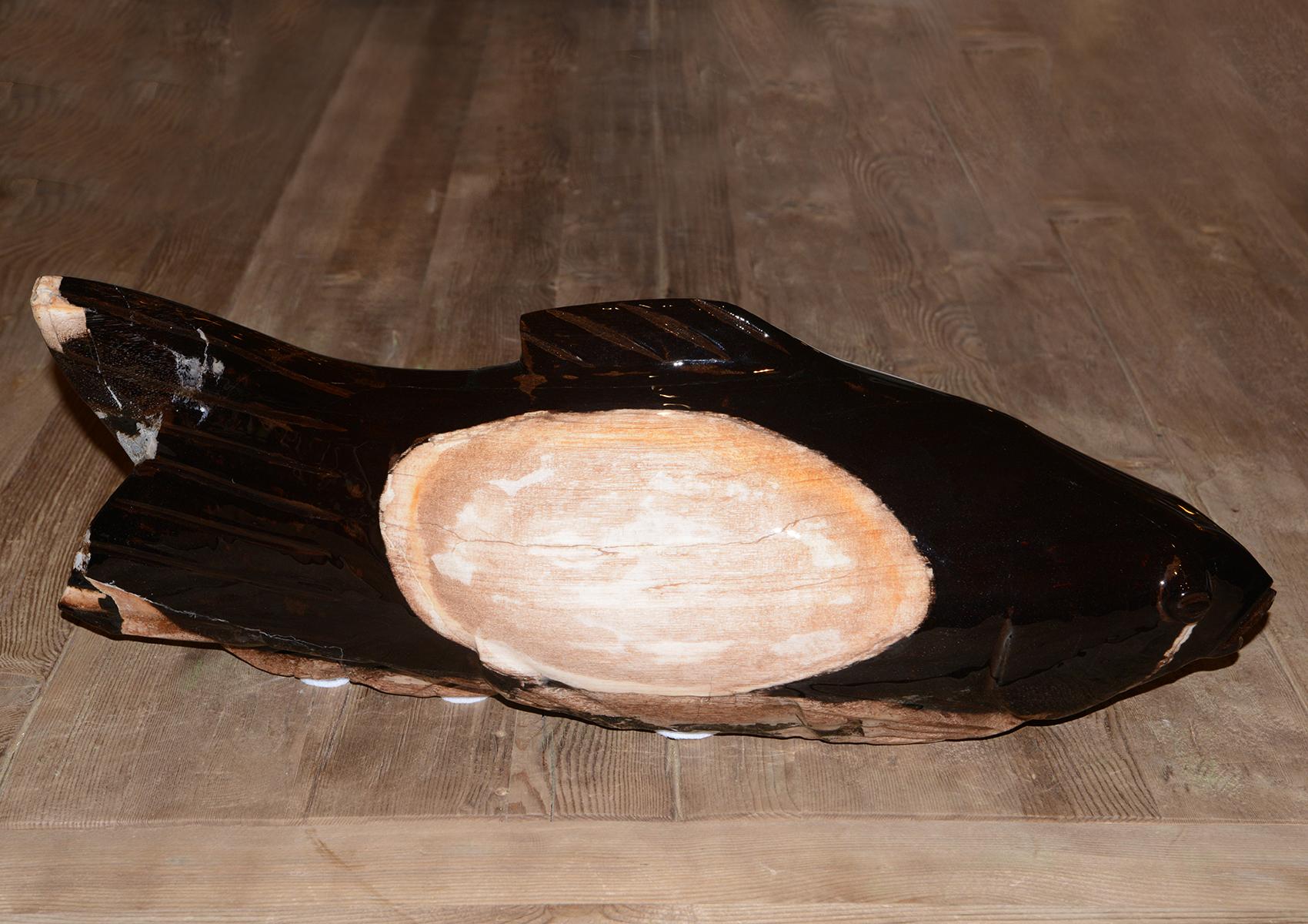Fish Petrified N°C Sculpture For Sale at 1stDibs