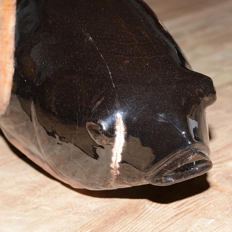Fish Petrified N°C Sculpture For Sale at 1stDibs