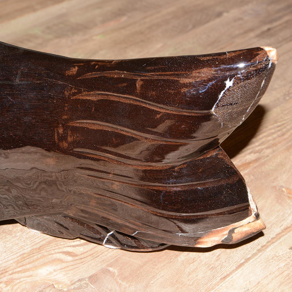 Fish Petrified N°C Sculpture For Sale at 1stDibs