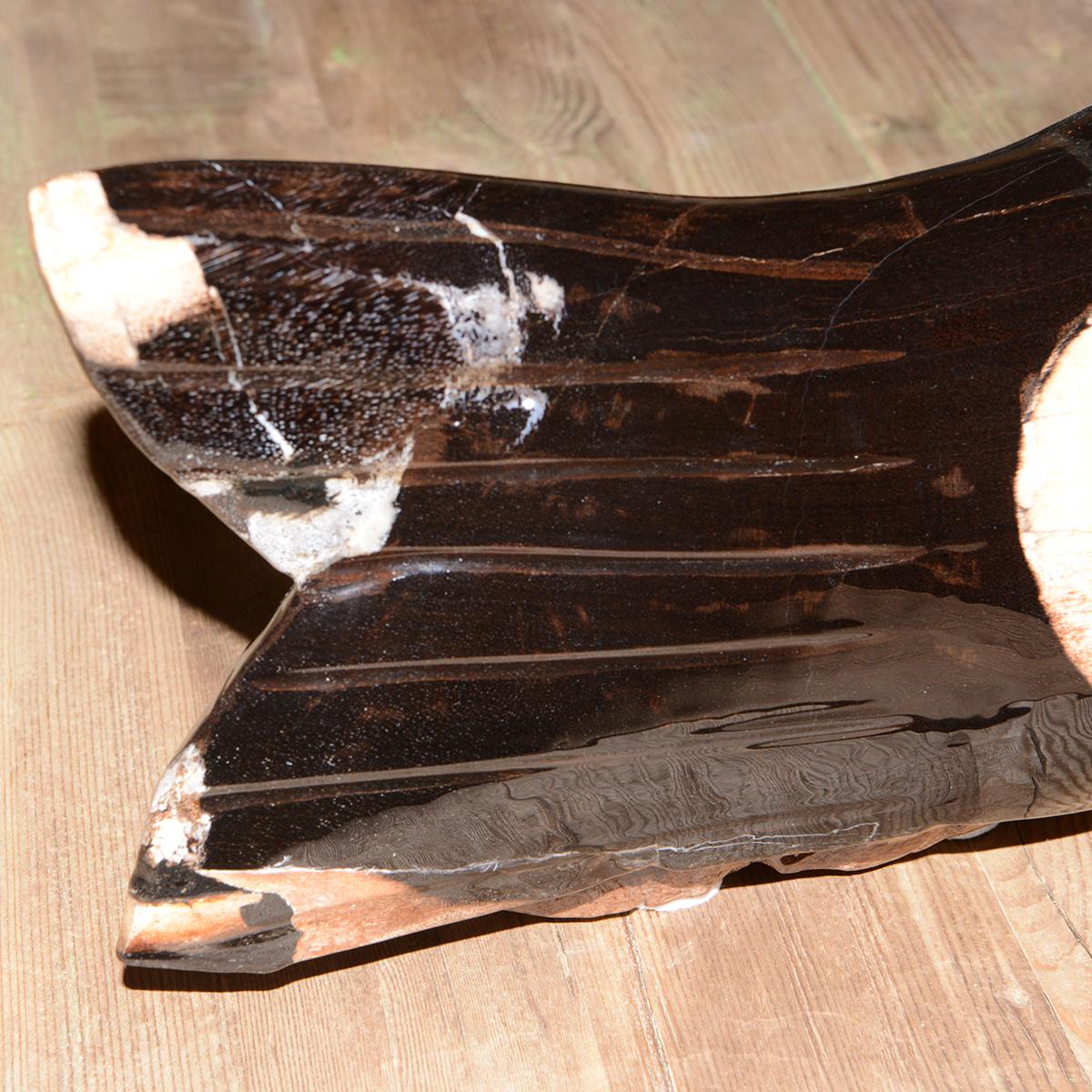 Fish Petrified N°C Sculpture For Sale at 1stDibs