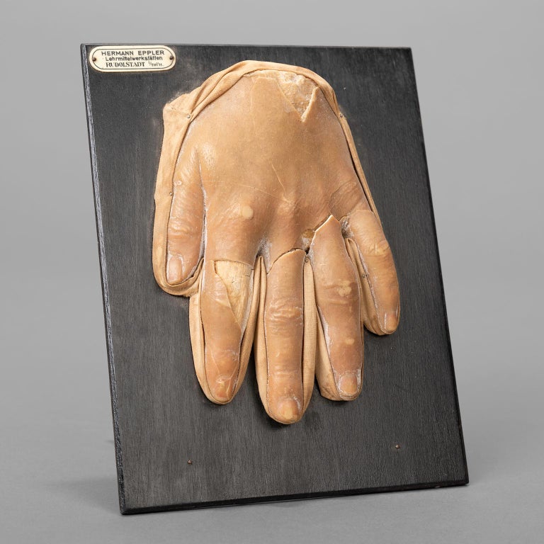 Five Anatomical Wax Models by Hermann Eppler For Sale at 1stDibs
